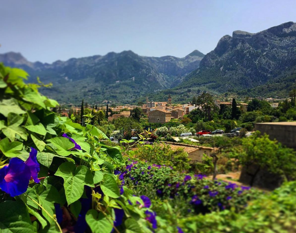 Walking in the Sóller Valley | Hiking the Tramuntana | Sóller Luxury Hotels