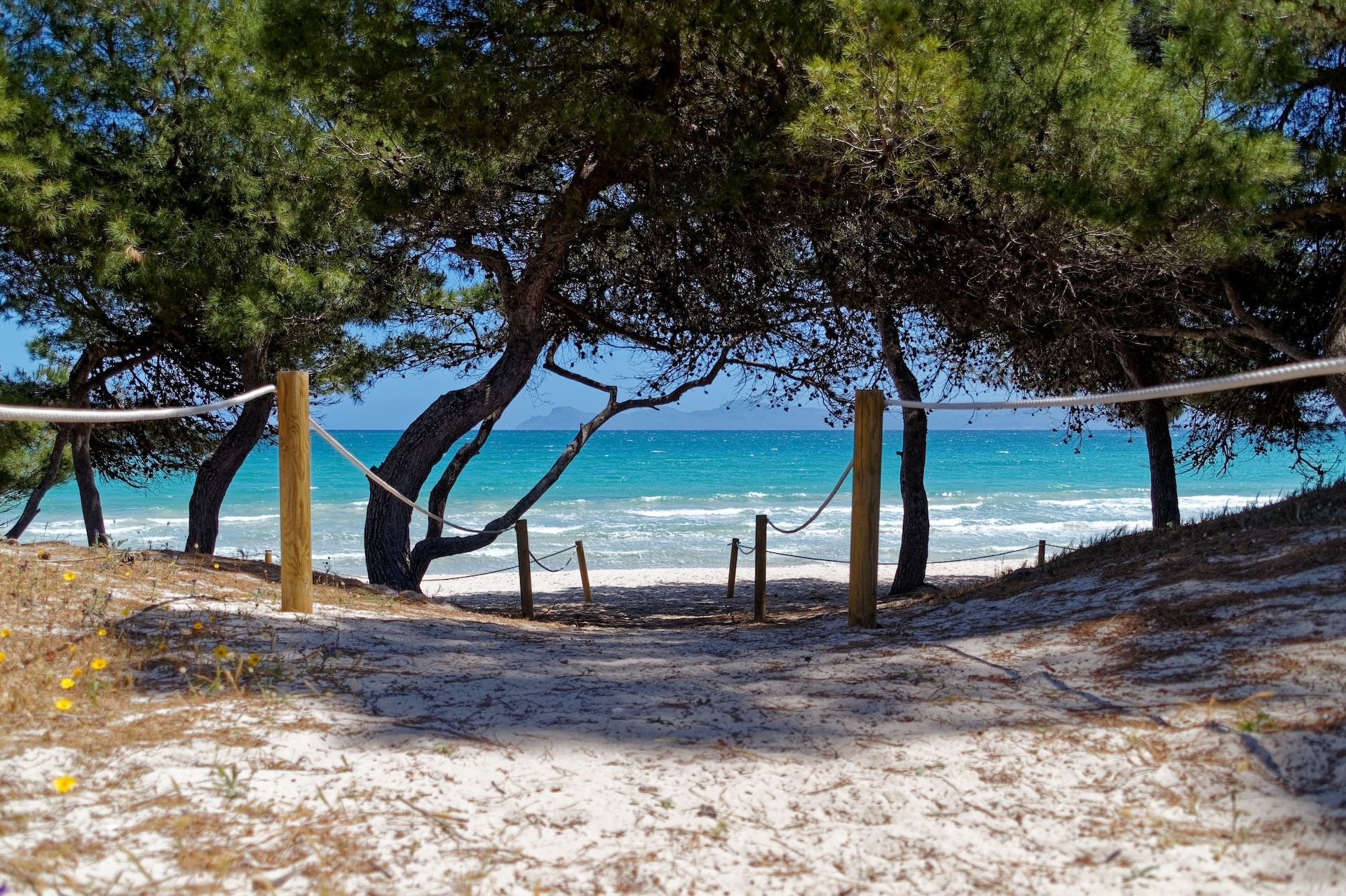 5 Reasons to Spend Christmas in Mallorca | December in Mallorca