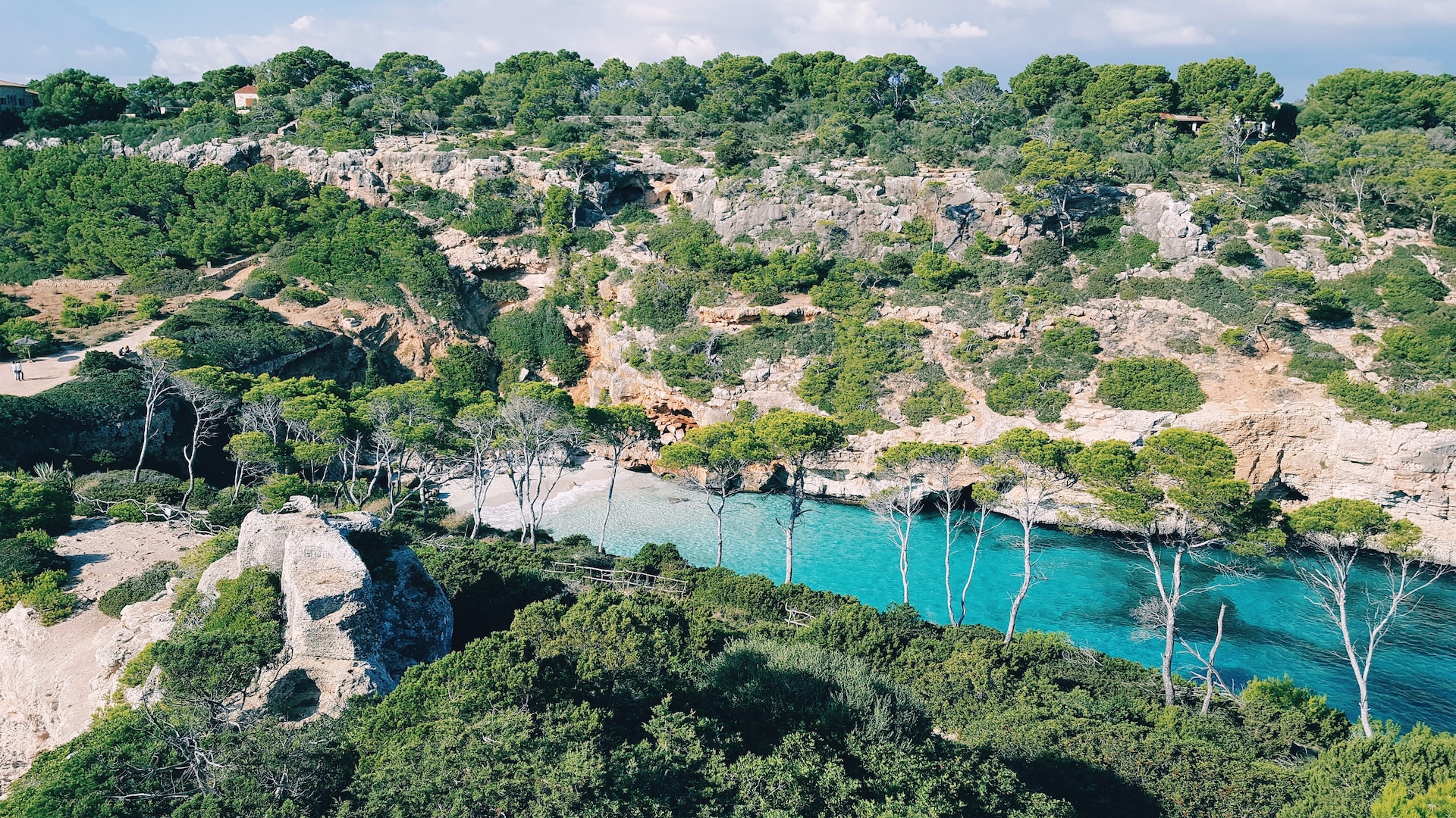 5 Reasons to Spend Christmas in Mallorca | December in Mallorca